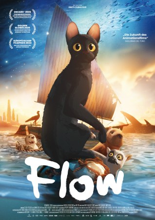 Flow Cinestar