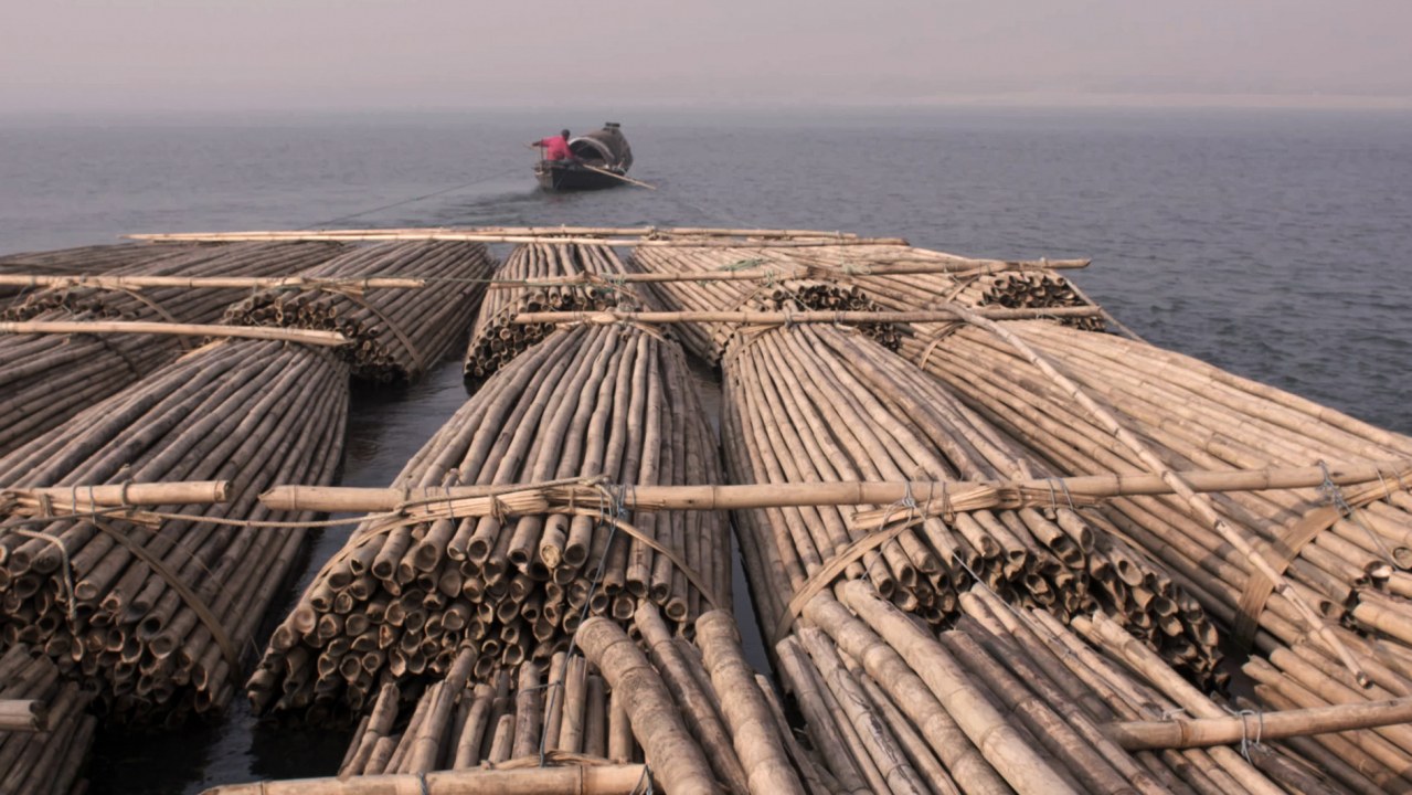 Bamboo Stories | Cinestar