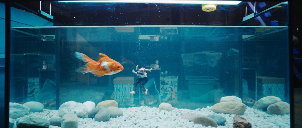 Der Mann, der immer kleiner wurde | Cinestar