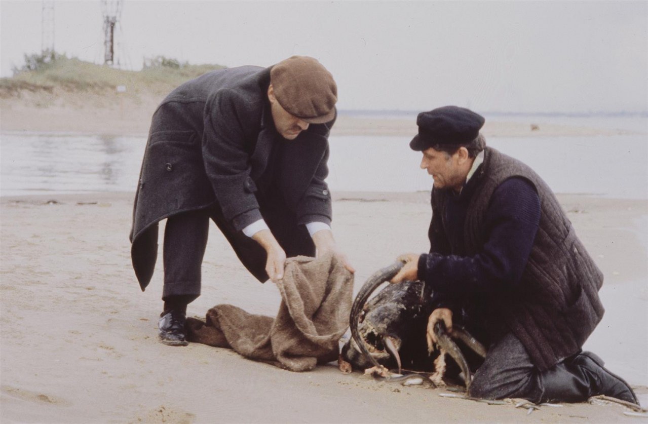 Die Blechtrommel | Cinestar