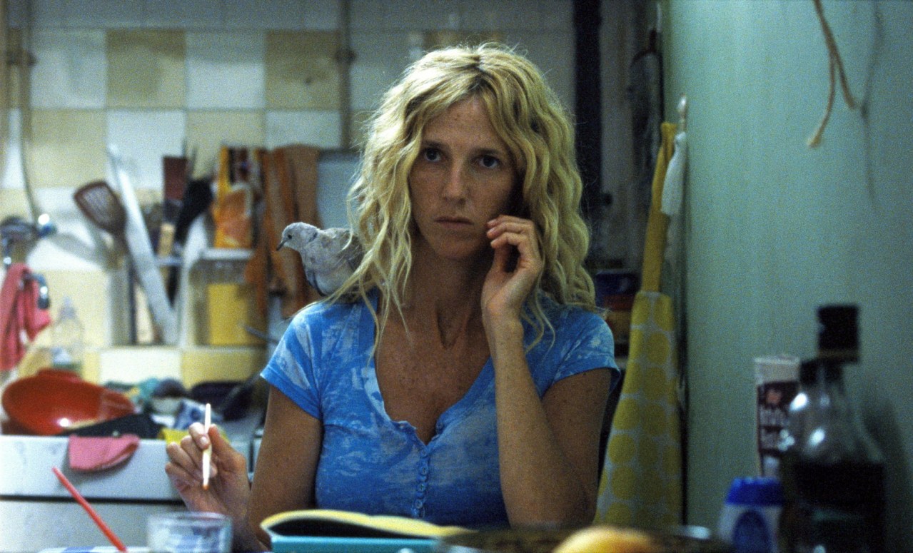 Die Taube | Cinestar