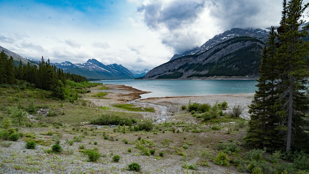 Expedition Happiness | Cinestar