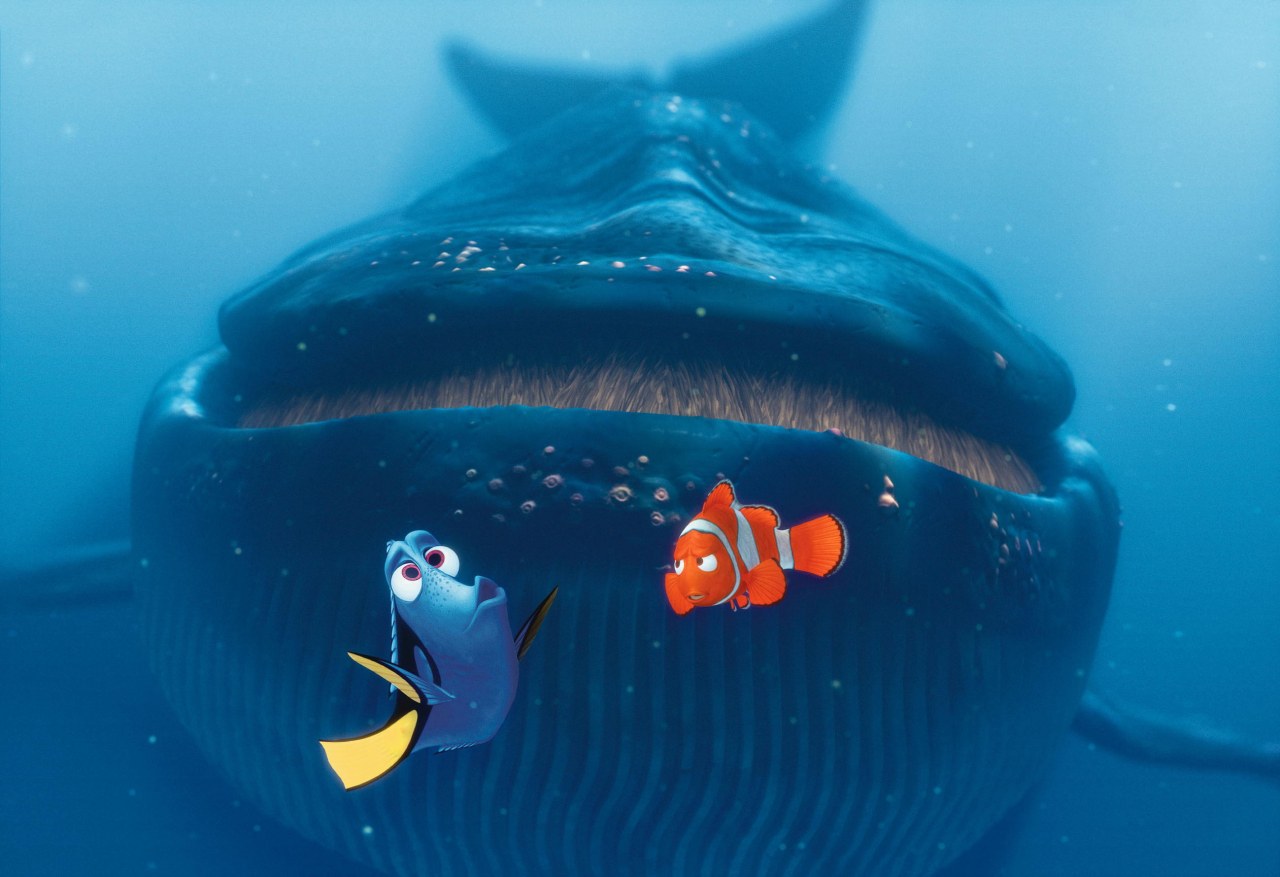 Findet Nemo | Cinestar