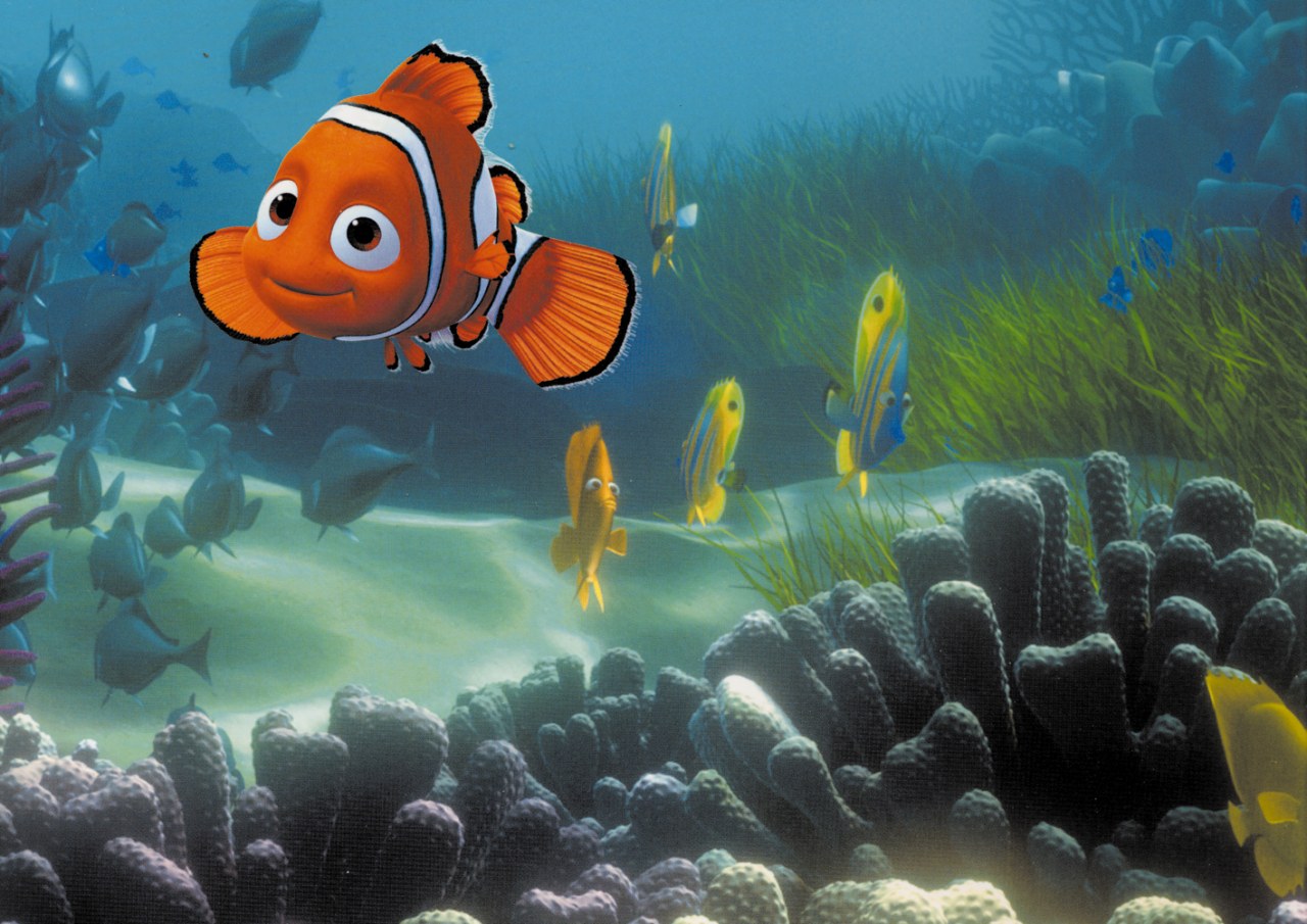 Findet Nemo | Cinestar