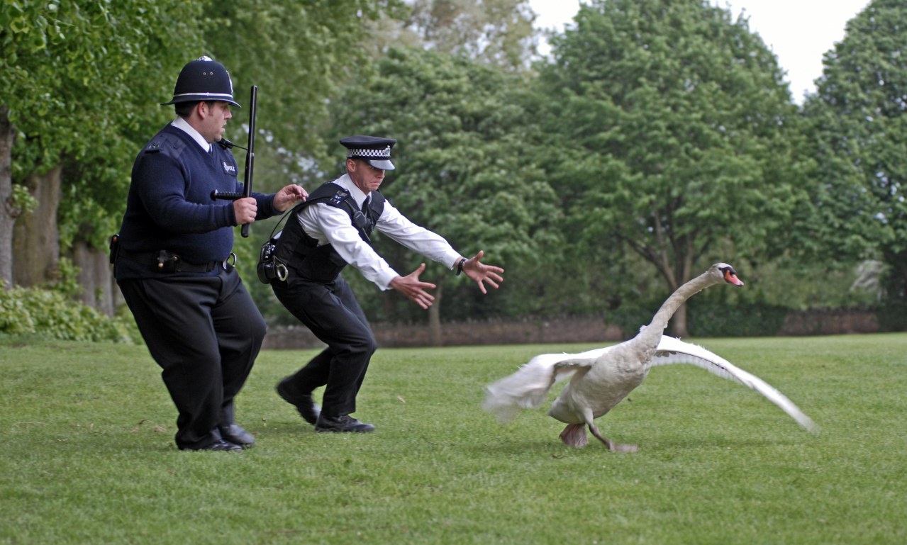 Hot Fuzz | Cinestar