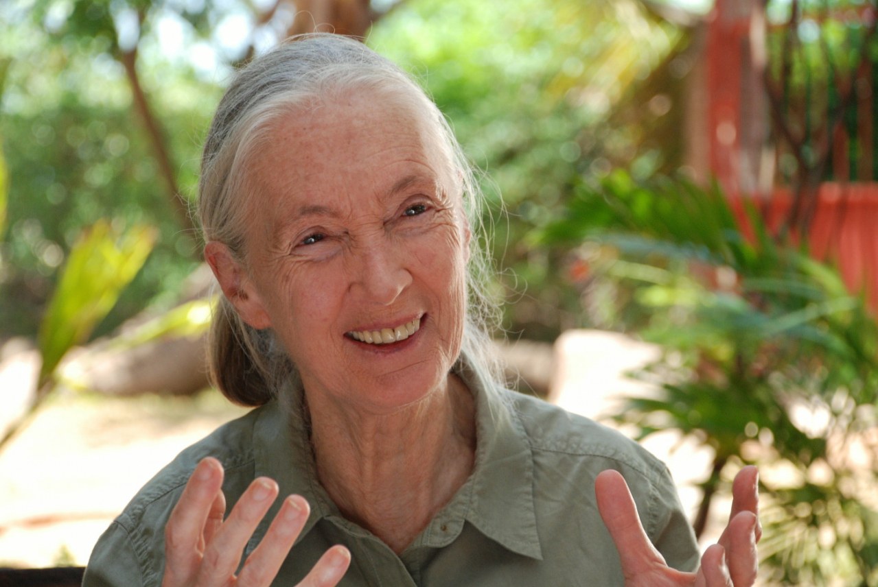 Jane's Journey - Die Lebensreise der Jane Goodall | Cinestar