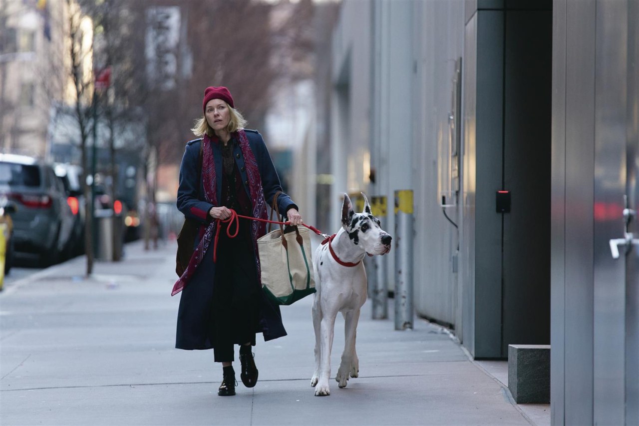 Loyal Friend | Cinestar