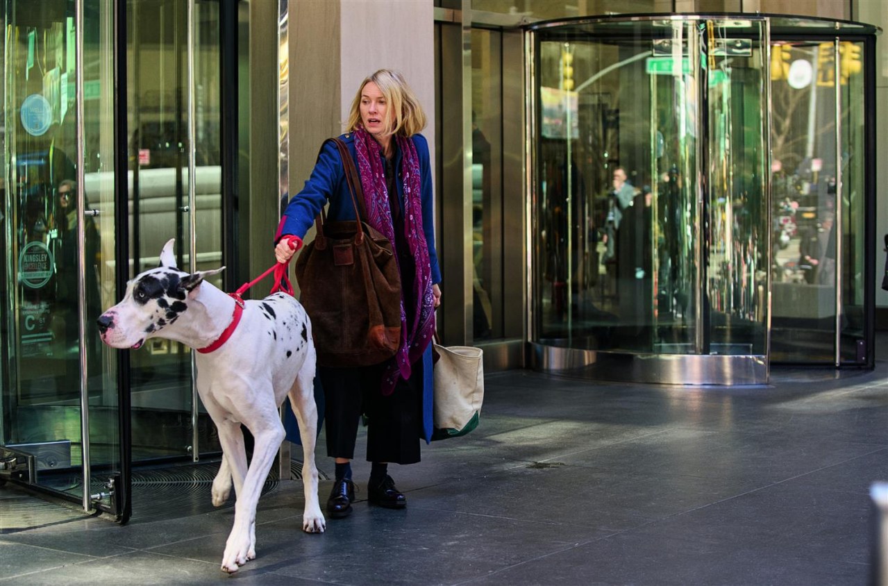 Loyal Friend | Cinestar