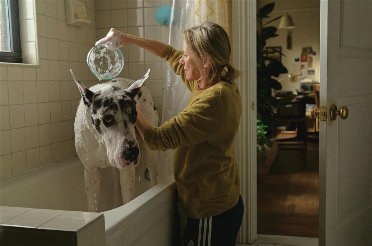 Loyal Friend | Cinestar