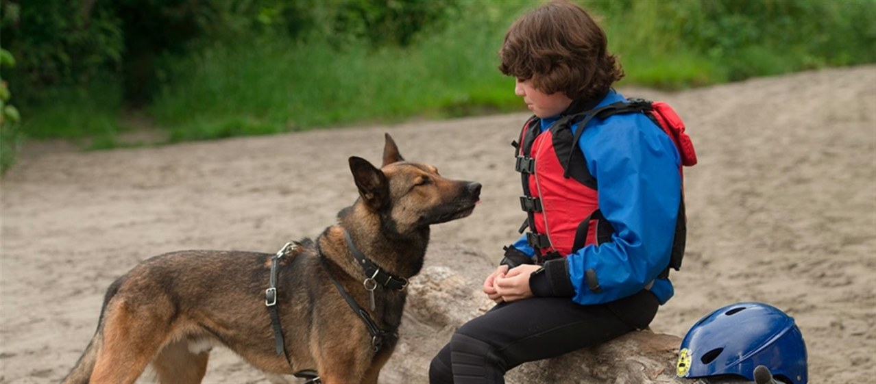 Max - Agent auf vier Pfoten | Cinestar