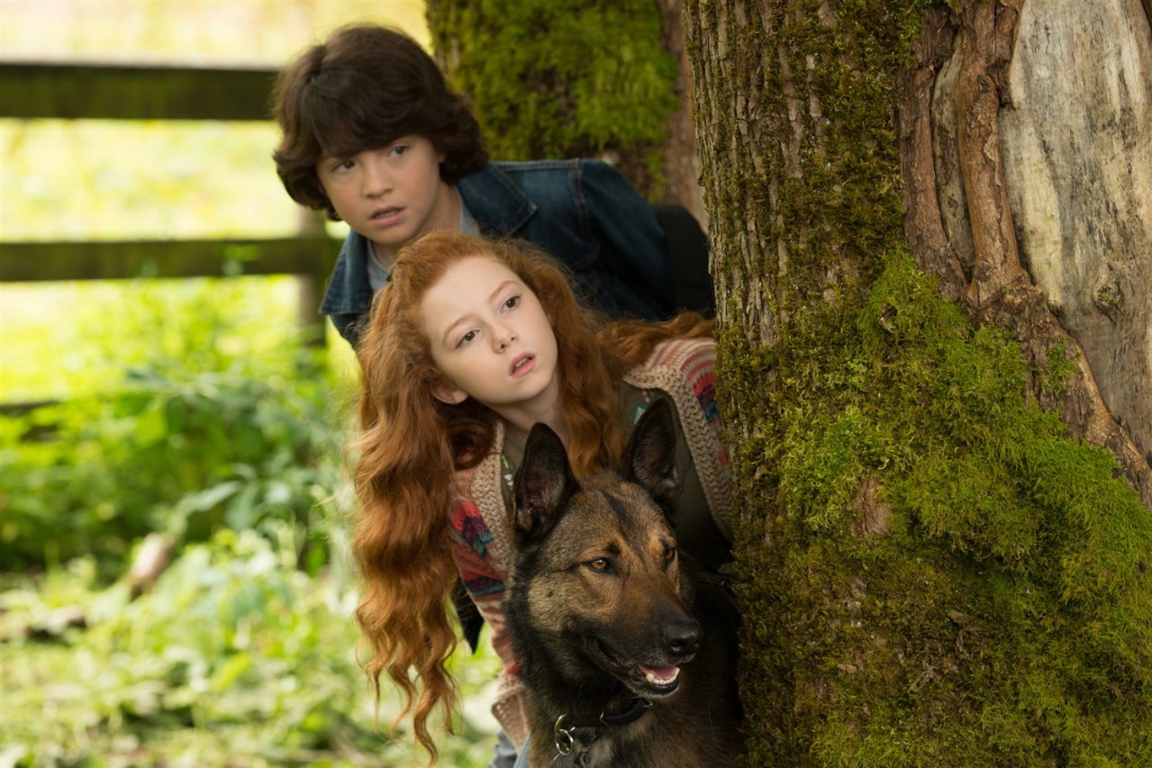 Max - Agent auf vier Pfoten | Cinestar