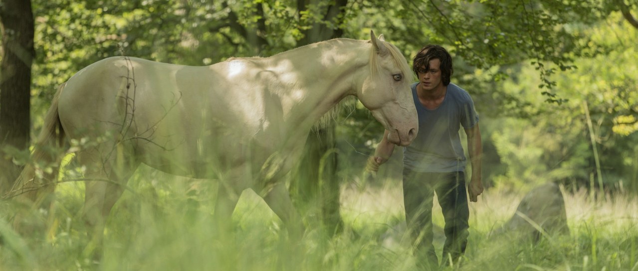 Ostwind 2 | Cinestar