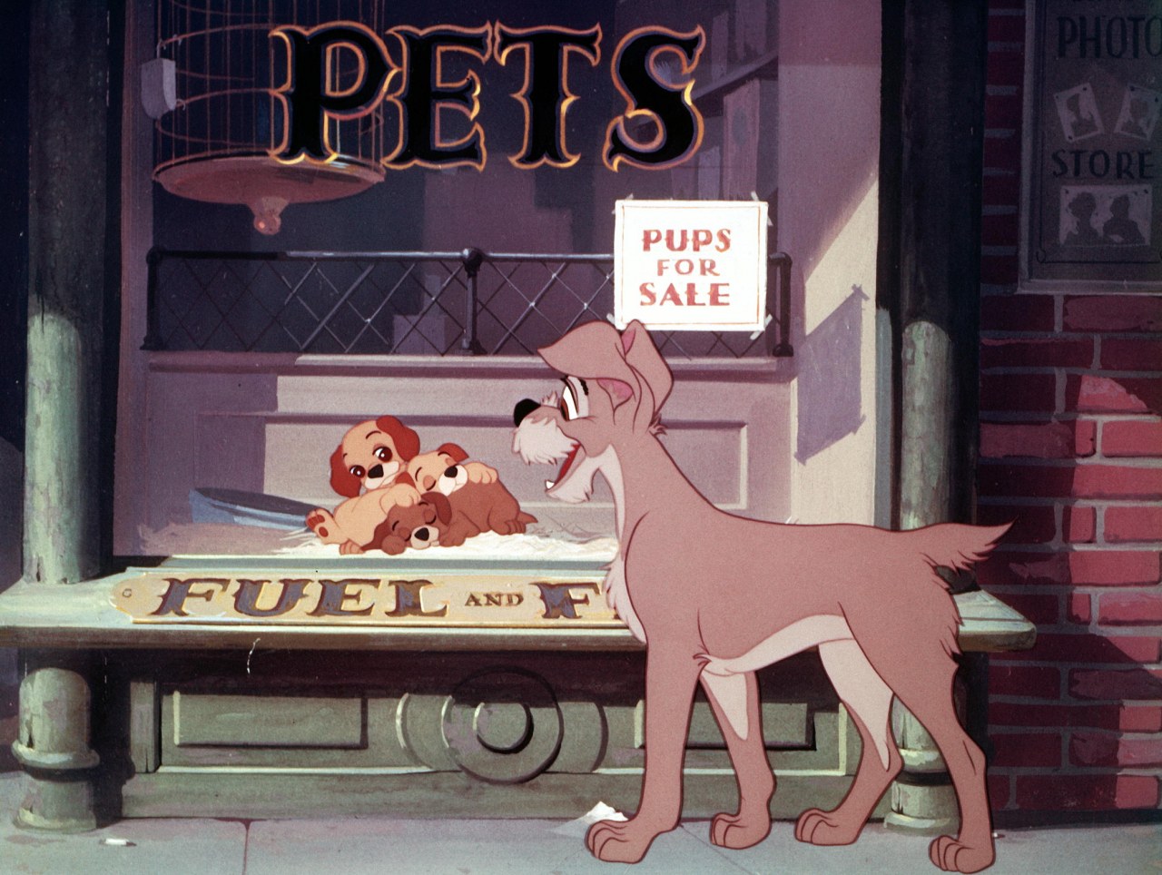 Susi und Strolch | Cinestar