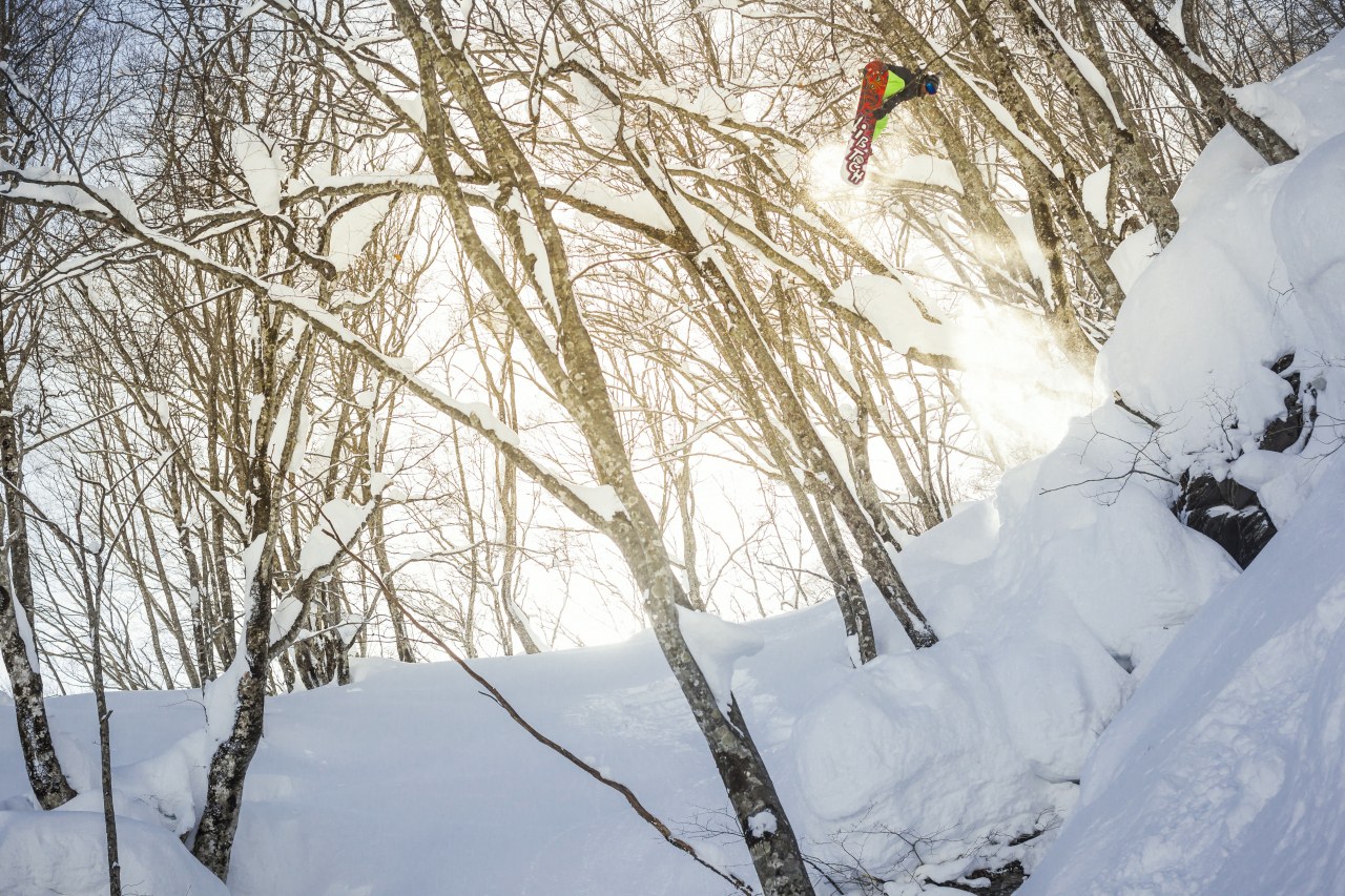 The Fourth Phase | Cinestar