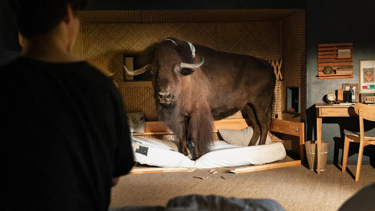 Woodwalkers | Cinestar