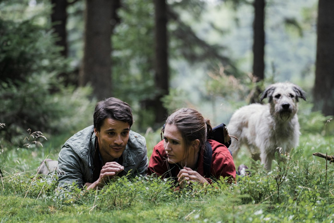 Wuff | CineStar Leipzig